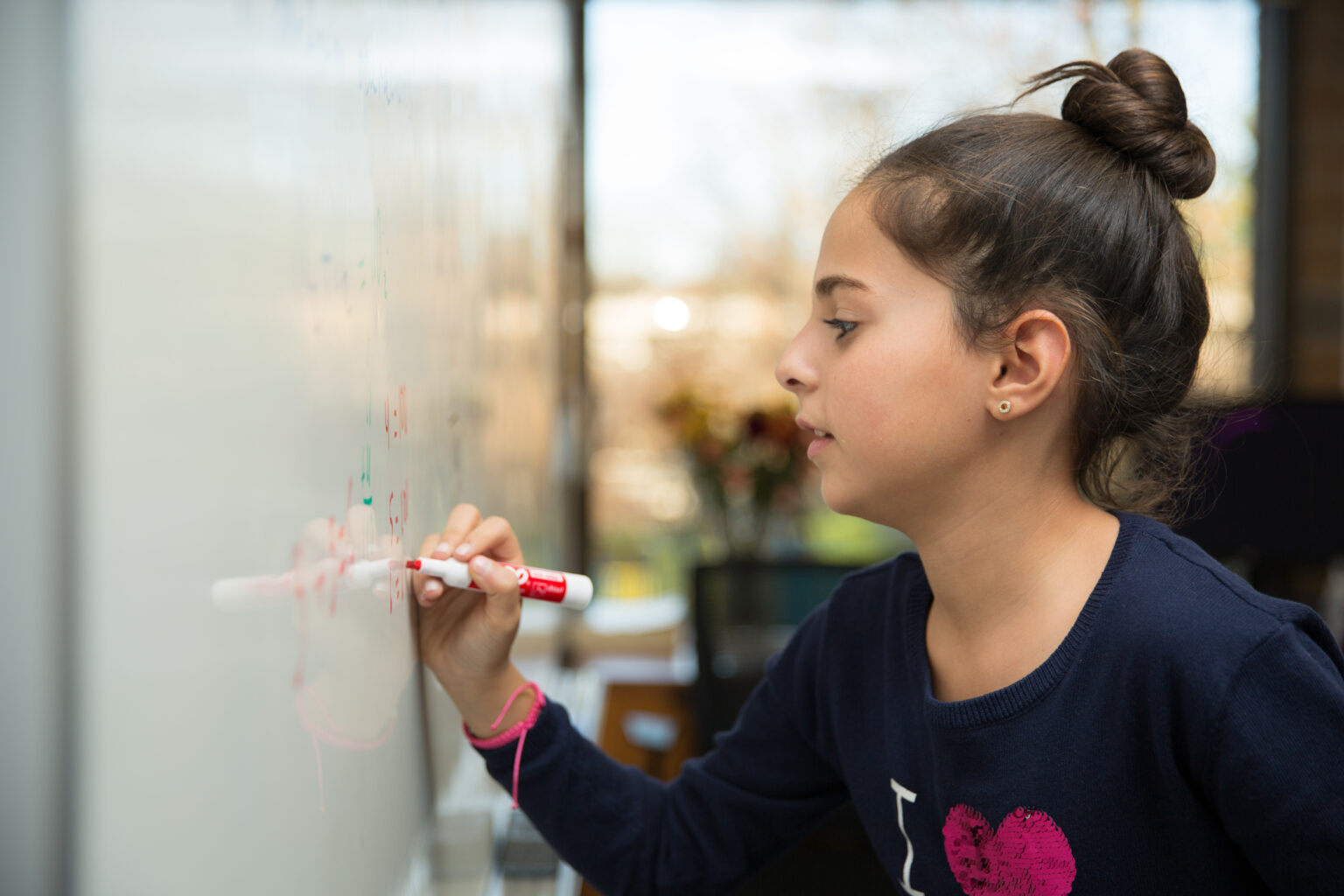 Russian School of Mathematics – NJMOM